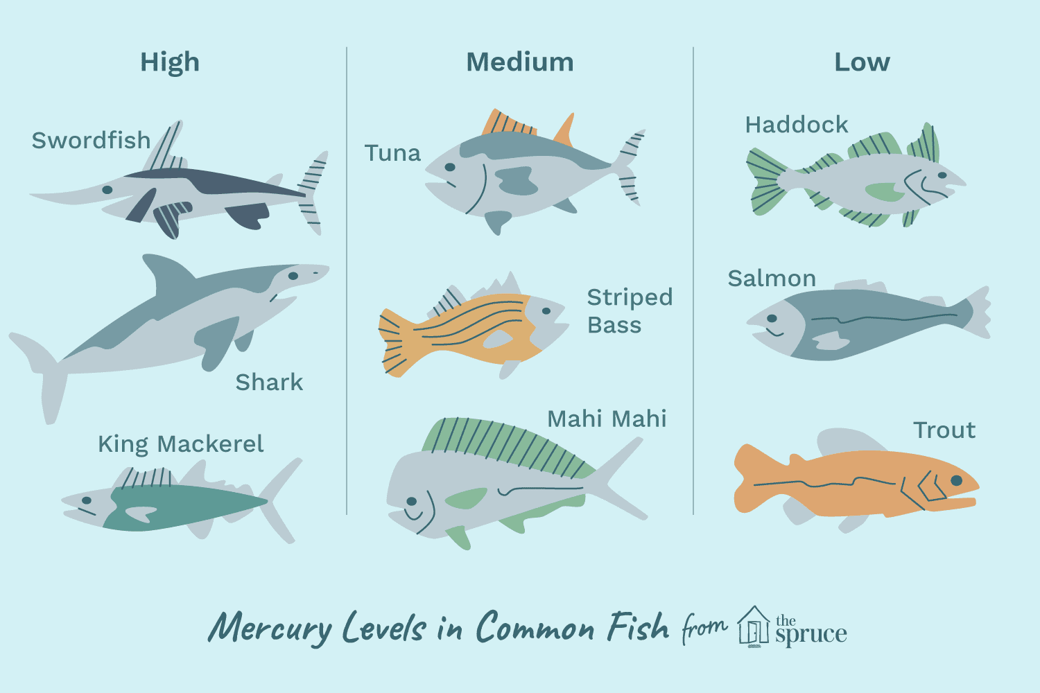 Which fish has least mercury?