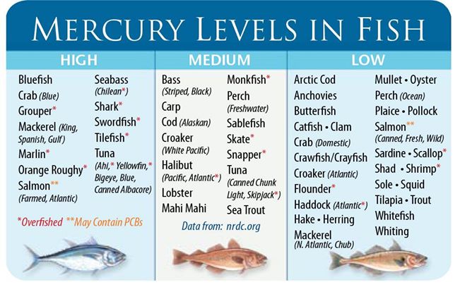 Which fish has less mercury?