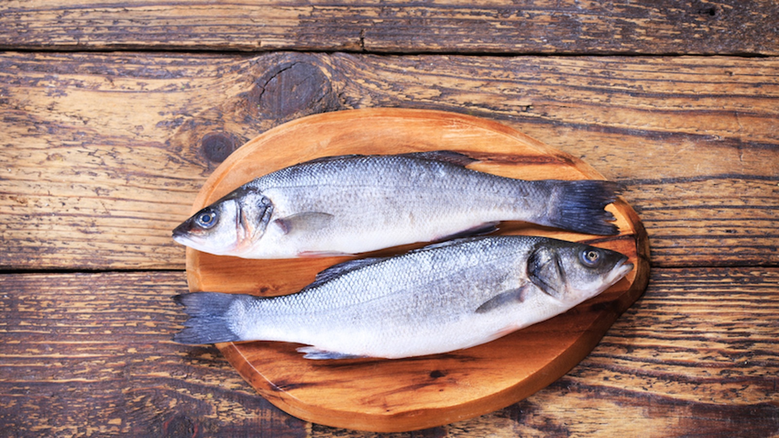 Which fish have the most toxins?