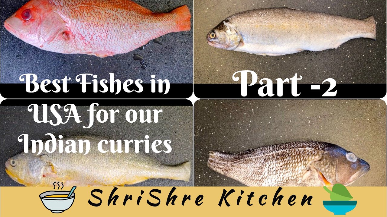 Which fish is good for curry?
