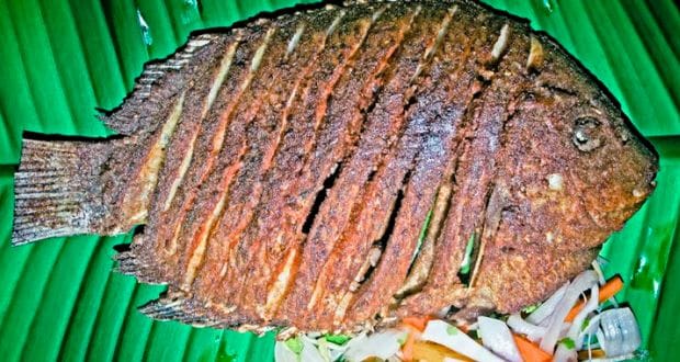 Which fish is good in Kerala?