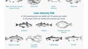 Which fish is lowest in heavy metals?