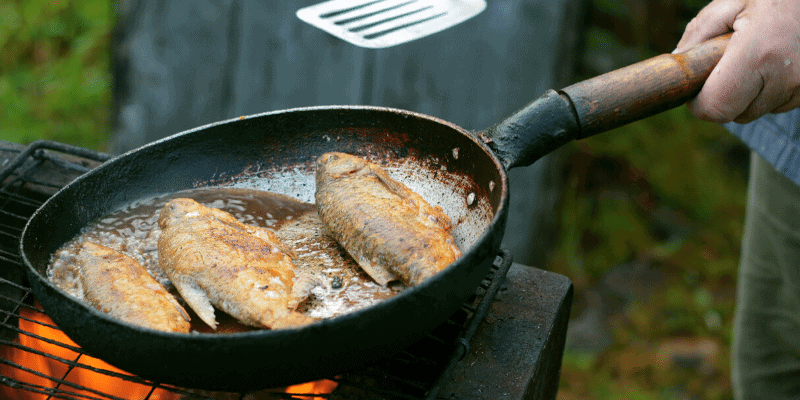Which fish is the healthiest to fry?