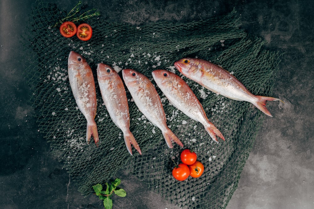 Which fish is the most widely eaten by humans?