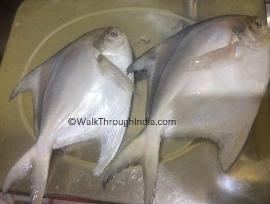 Which fish is used in India?