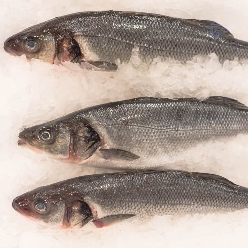 Which fish should never be part of a healthy diet?