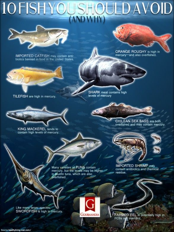 Which fish should not be eaten?