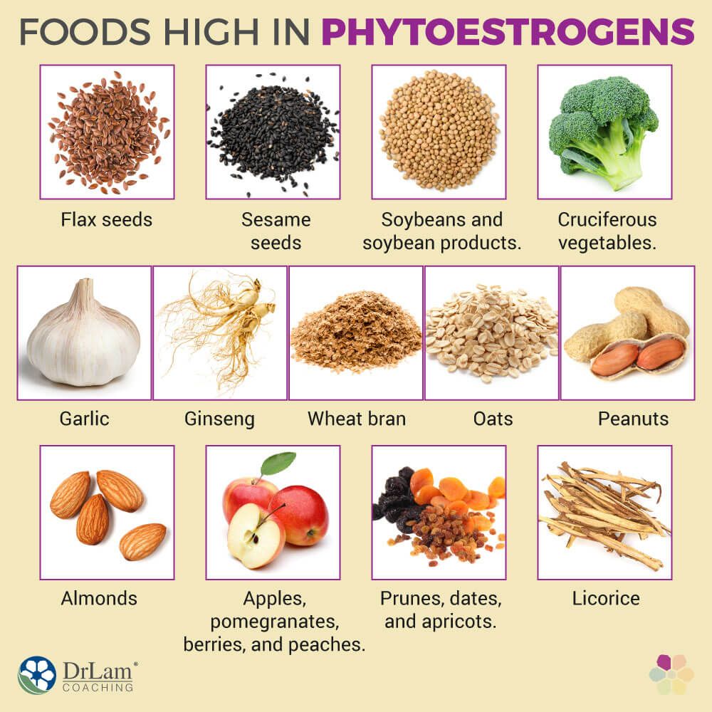 Which food has the highest level of phytoestrogens?