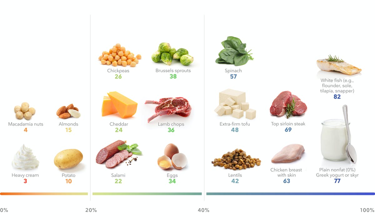 Which food is highest in protein?