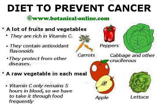 Which food prevents all types of cancer?