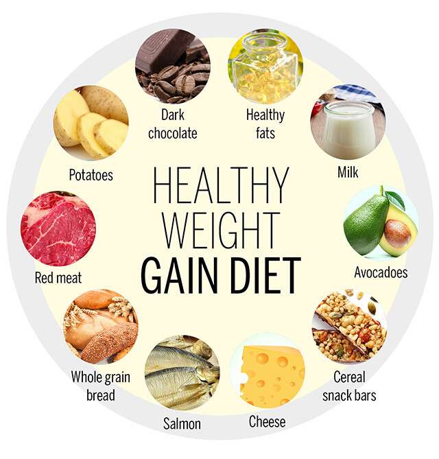 Which foods are good for weight gain?