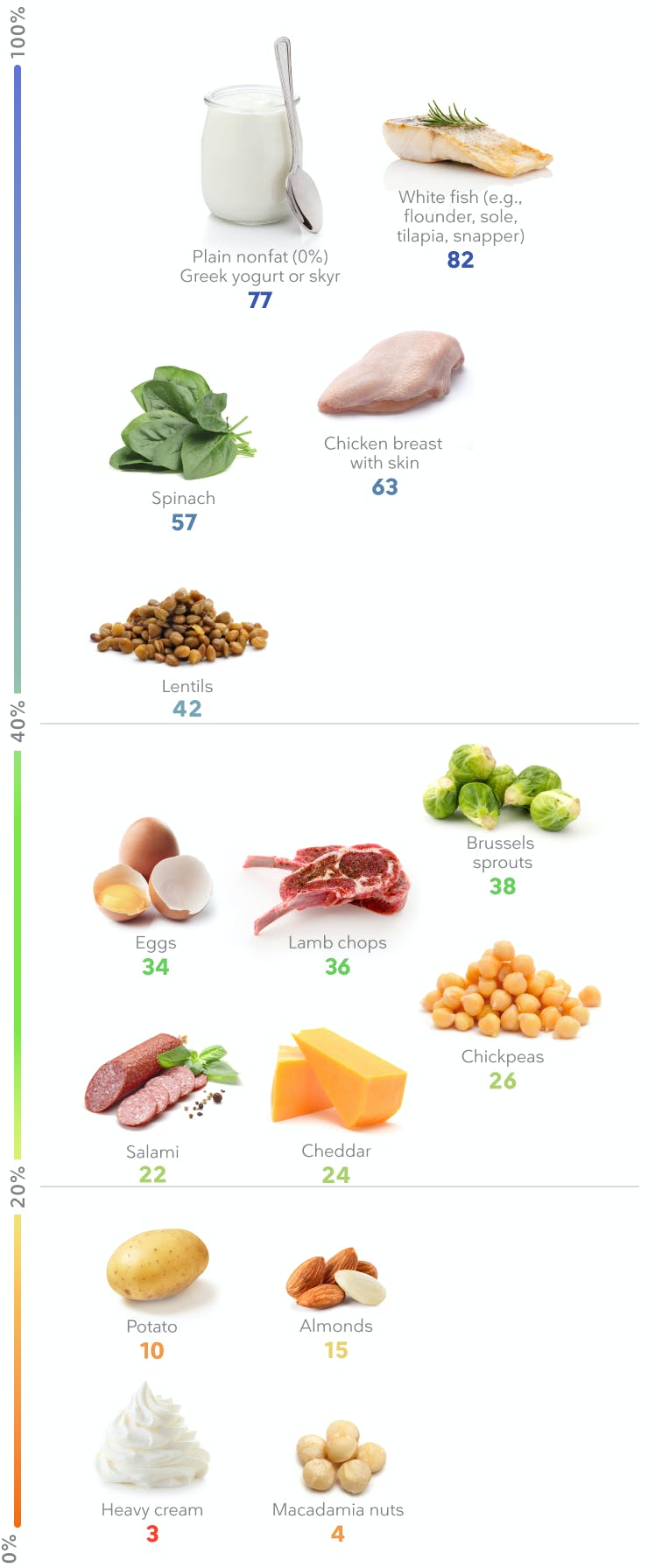 Which foods are high in protein for weight loss?