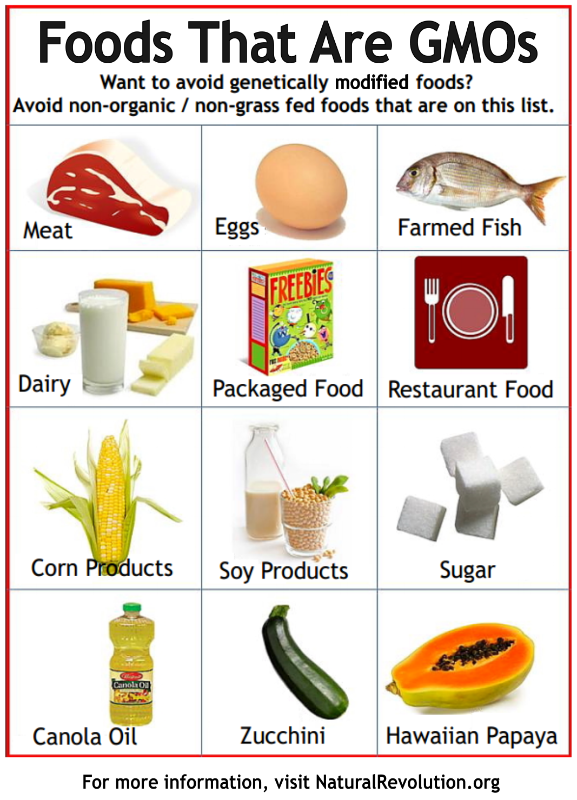 Which foods are not GMO?