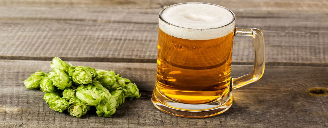 Which herbs are used in beer?