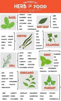 Which herbs to use with which foods?