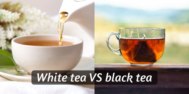 Which is better black tea or white tea?