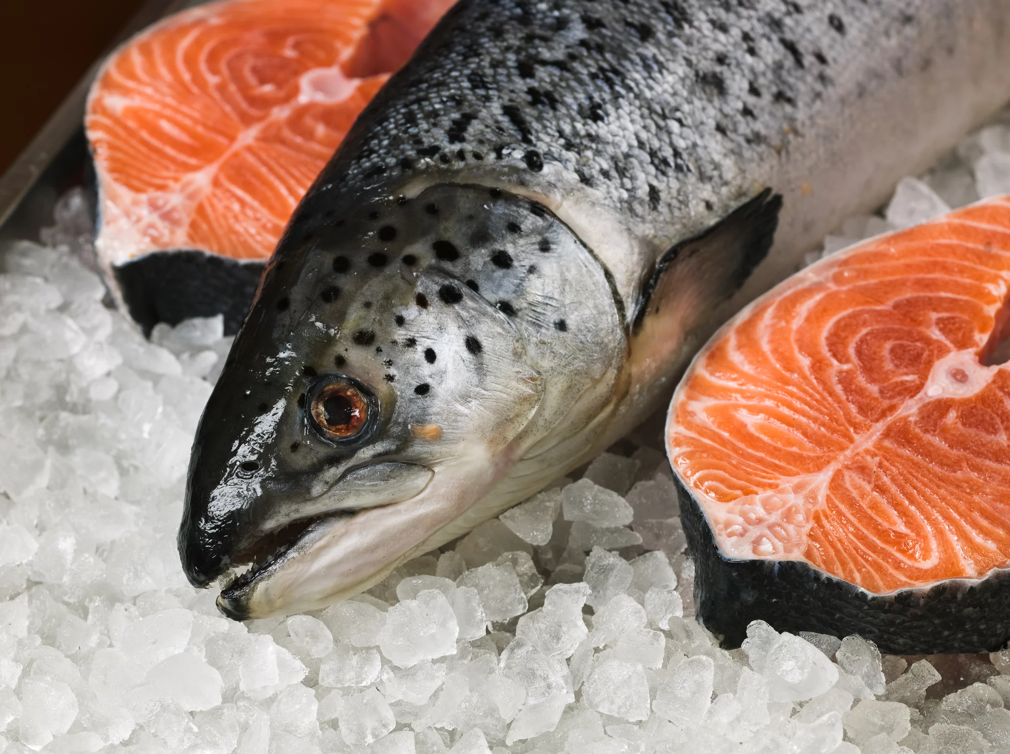 Which is better canned or frozen salmon?