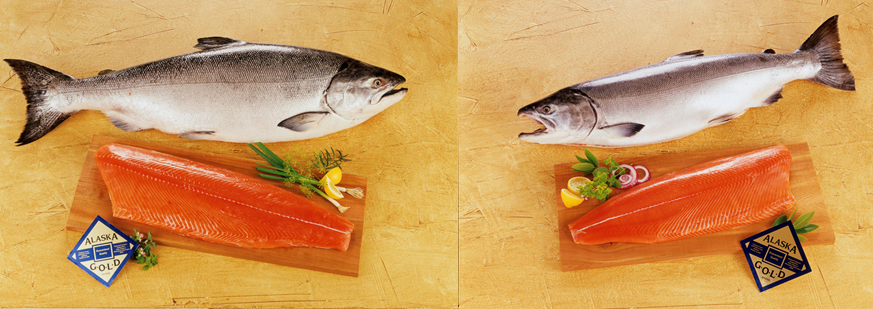 Which is better coho or King salmon?