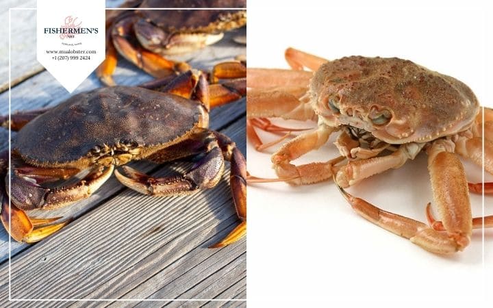 Which is better Dungeness or snow crab?