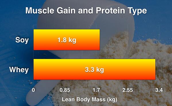 Which is better for building muscle whey or soy protein?