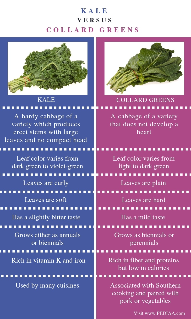 Which is better kale or collards?