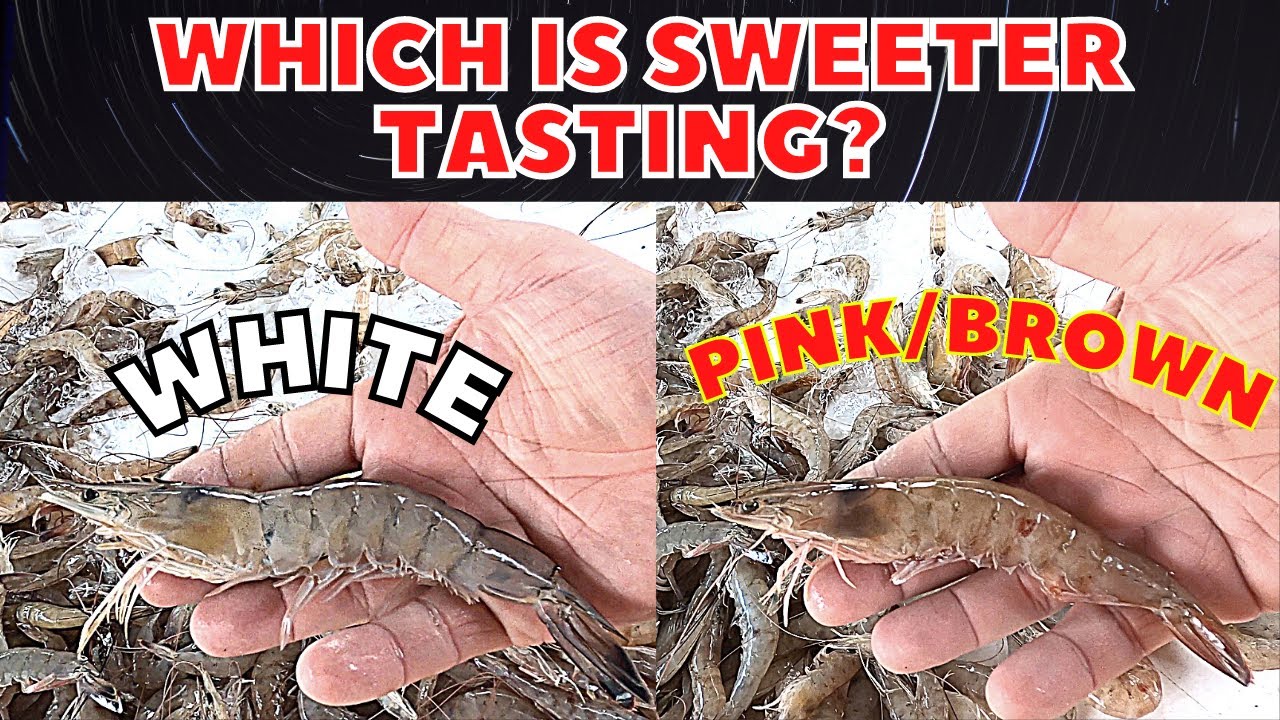 Which is better pink or white shrimp?