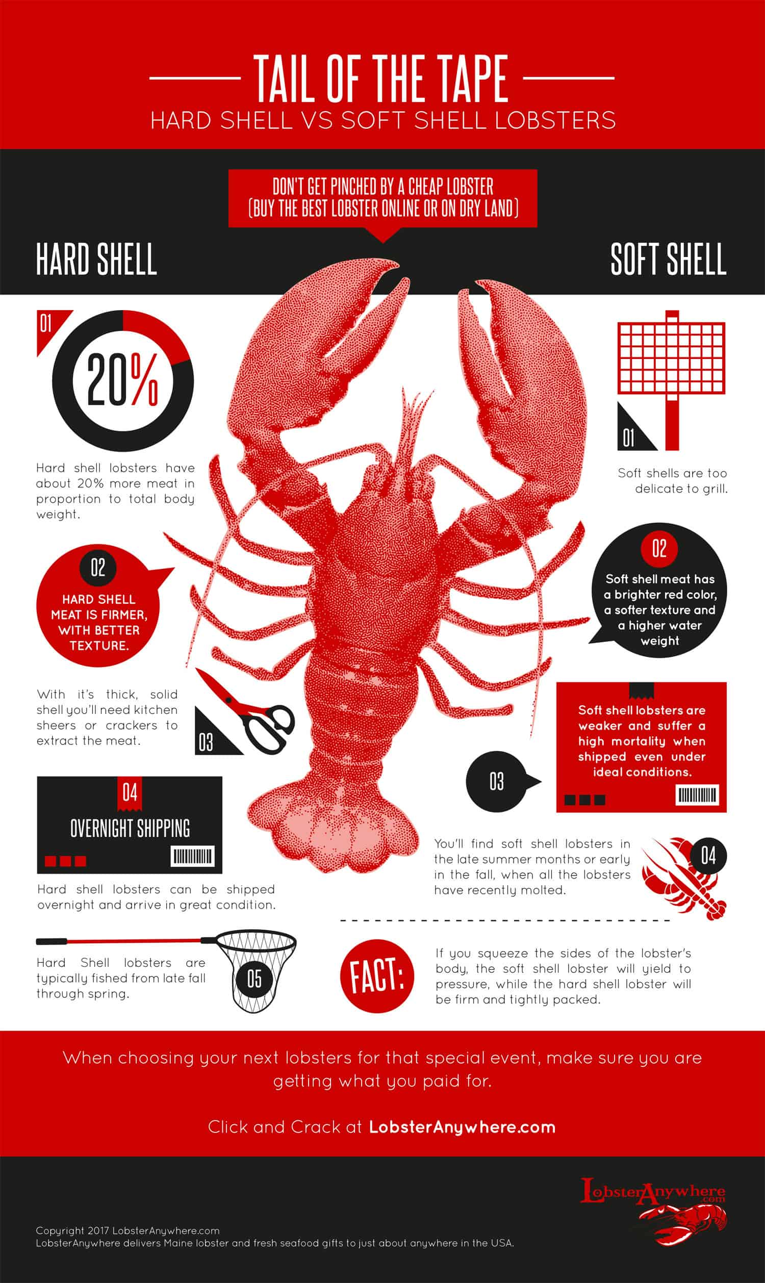 Which is better soft shell or hard shell lobster?