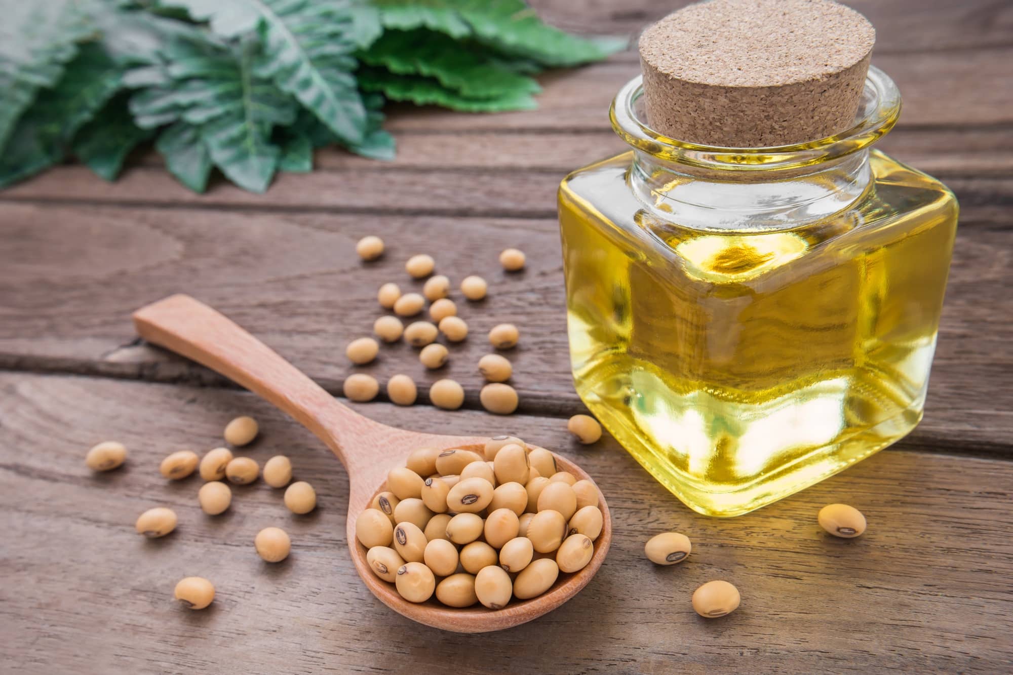 Which is better soybean oil or canola oil?