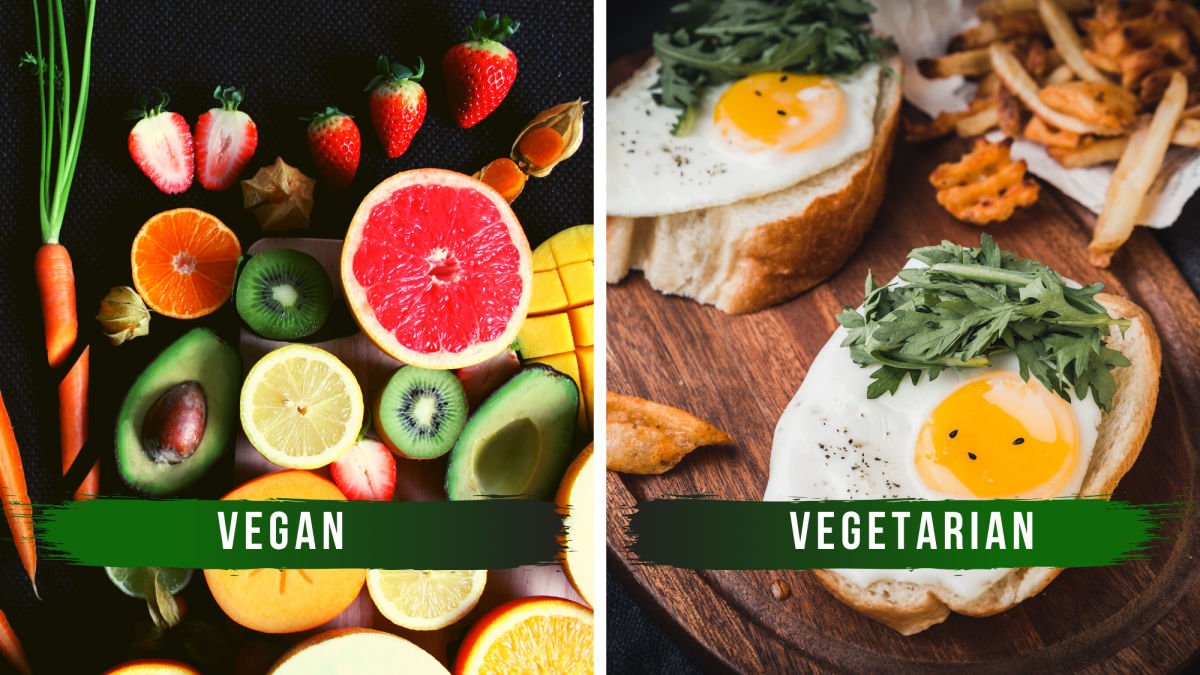 Which is better vegetarianism or veganism?