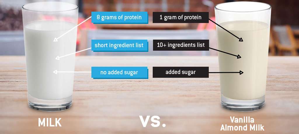 Which is healthier dairy or non-dairy milk?