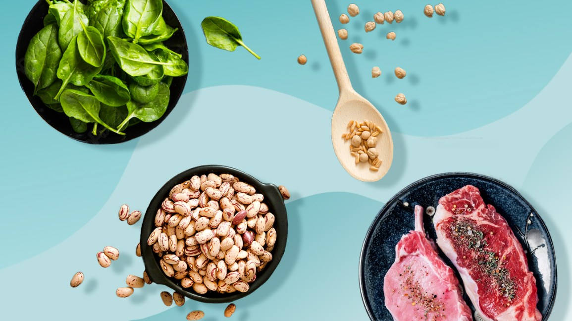 Which is healthier plant protein or animal protein?