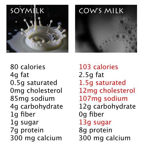 Which is healthier soy milk or cow milk?