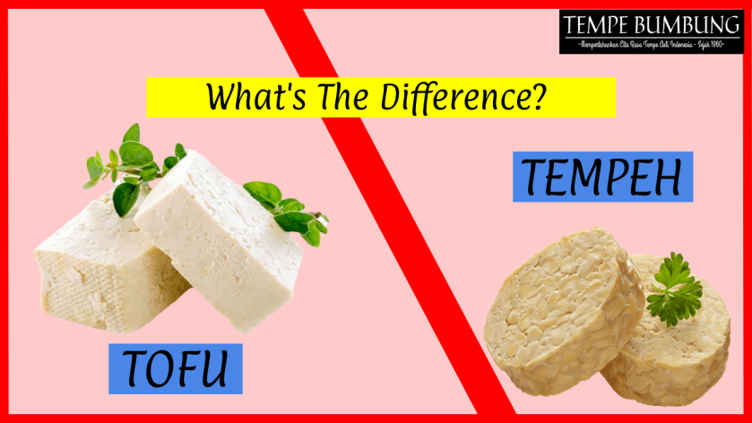 Which is less processed tofu or tempeh?