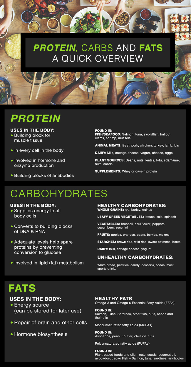 Which is more important carbohydrate or protein?