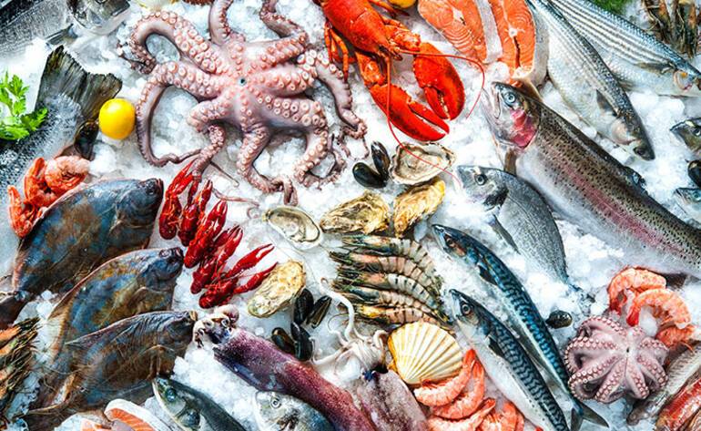 Which is the best seafood in the world?