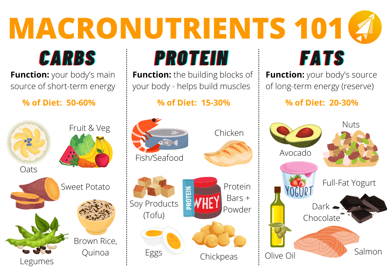 Which is the most important macronutrient and why?