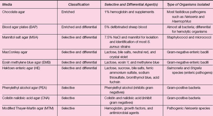 Which media are most commonly used for primary isolation of bacteria?