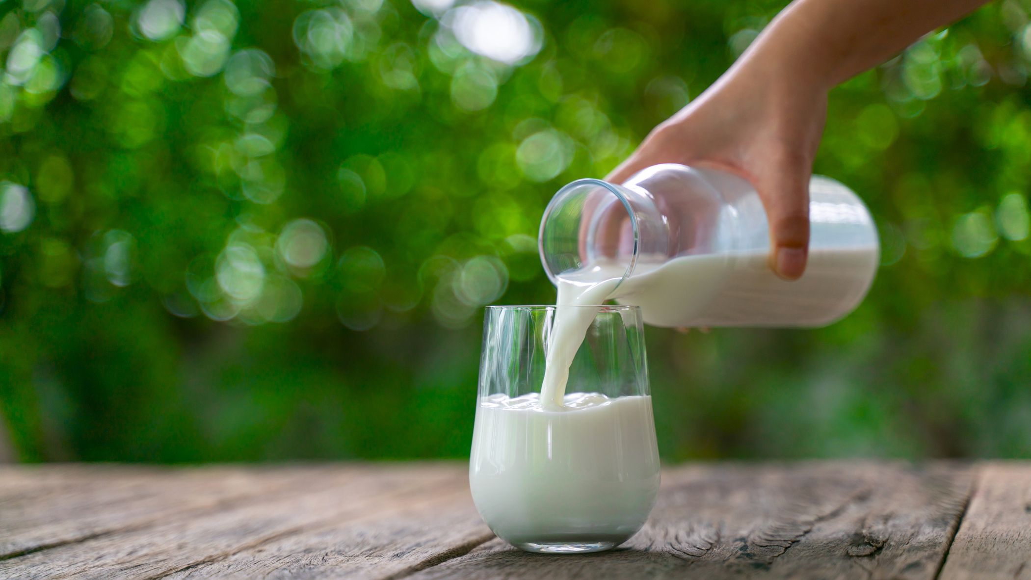 Which milk is best for arthritis?