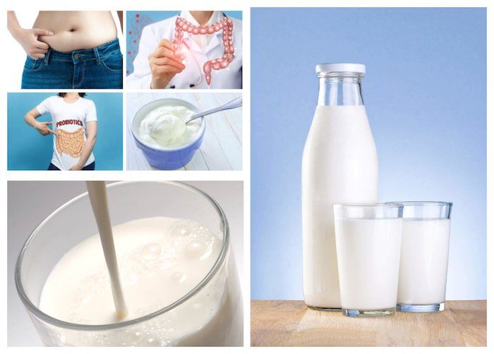 Which milk is best for belly fat loss?