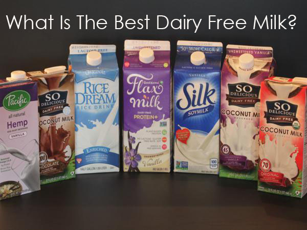 Which milk is best for dairy allergy?