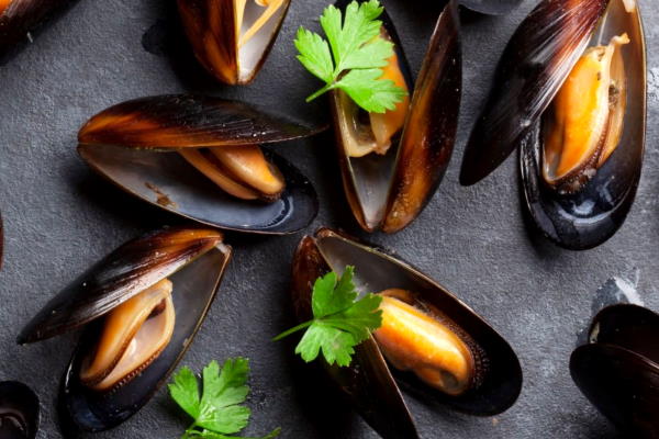 Which months can eat mussels?