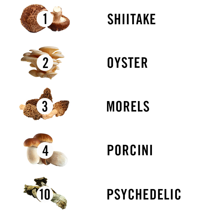 Which mushroom has the most health benefits?