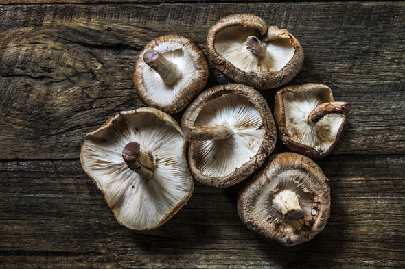 Which mushroom is best for high blood pressure?