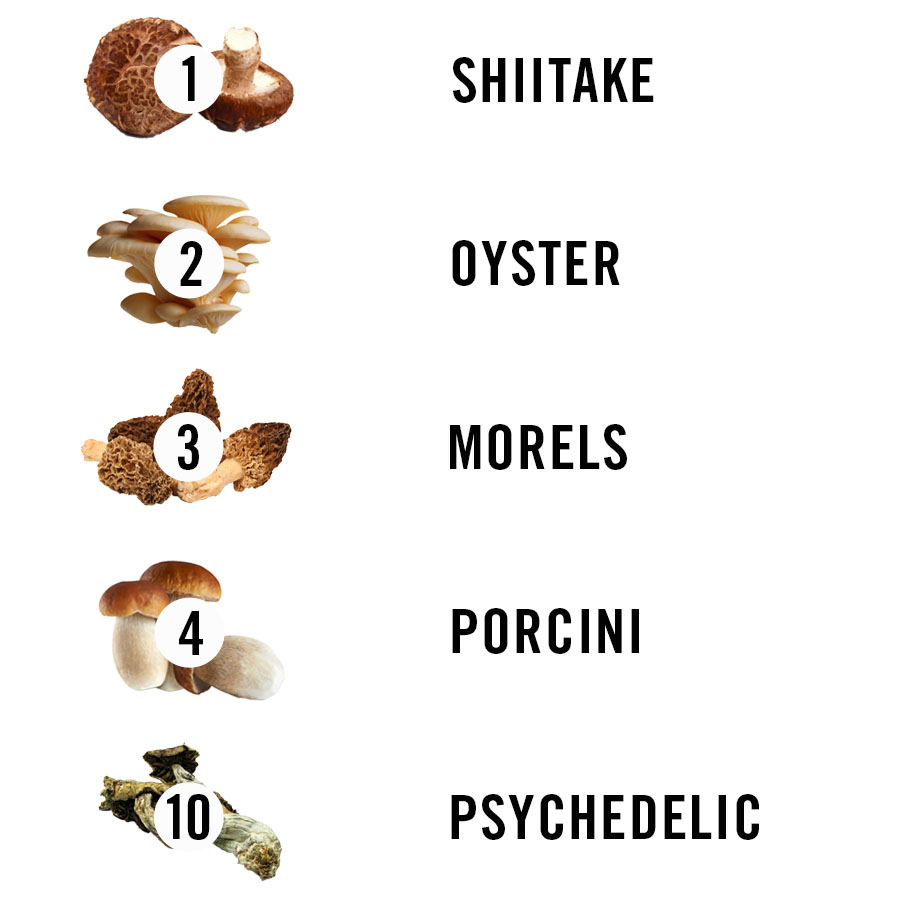 Which mushroom is the healthiest?