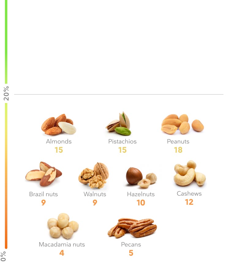 Which nut has the least amount of protein?