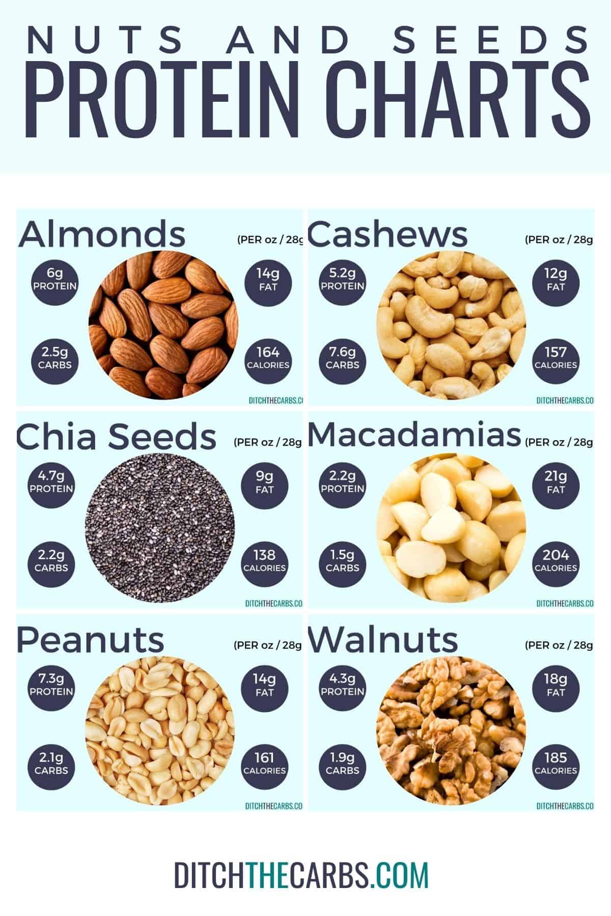 Which nut is highest in protein?