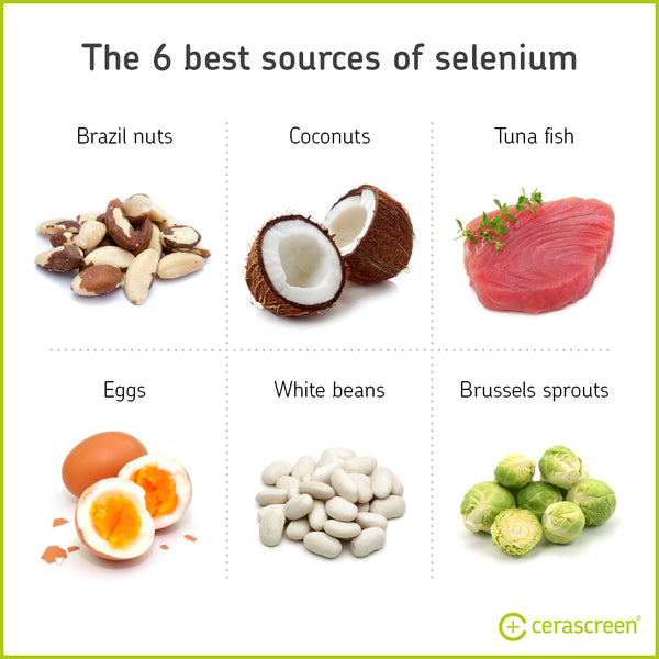 Which nut is the most reliable food source of selenium?