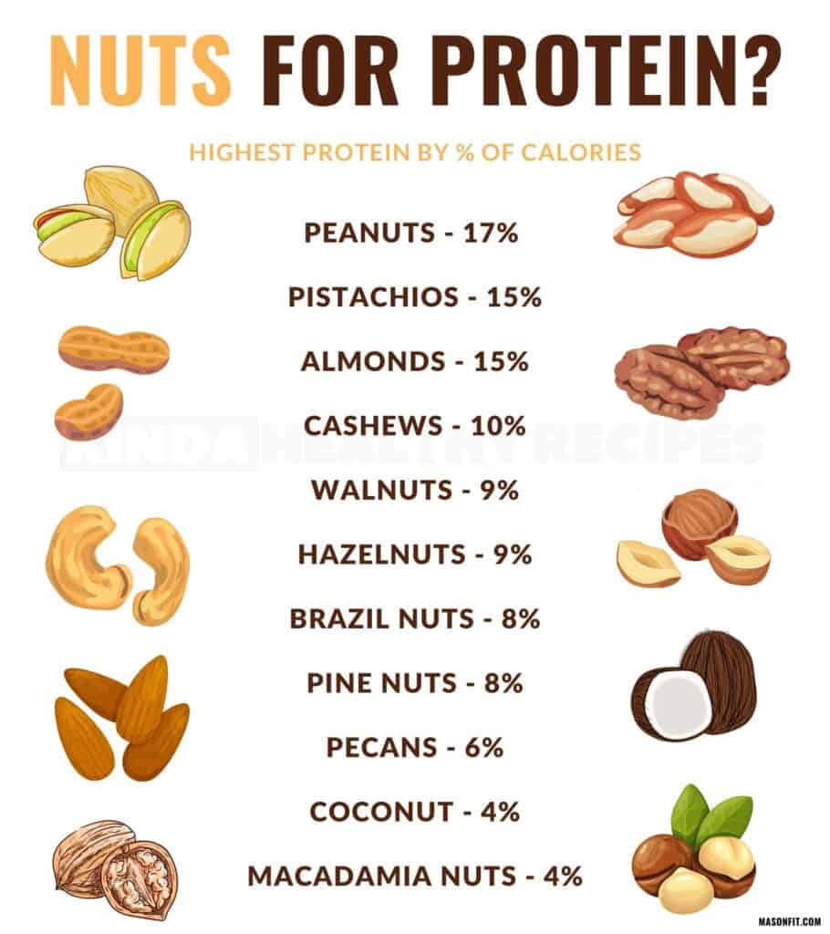 Which nuts and seeds have the most protein?
