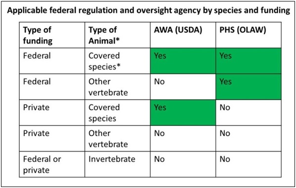 Which of the following species is covered by the Animal Welfare Act?