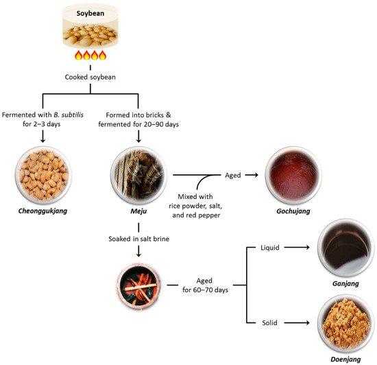 Which of the probiotics are made from fermented soy?